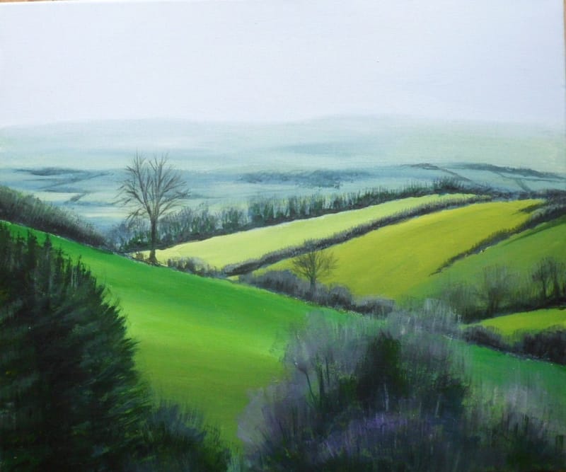 Drumlins Co. Monaghan - Orlagh Meegan-Gallagher