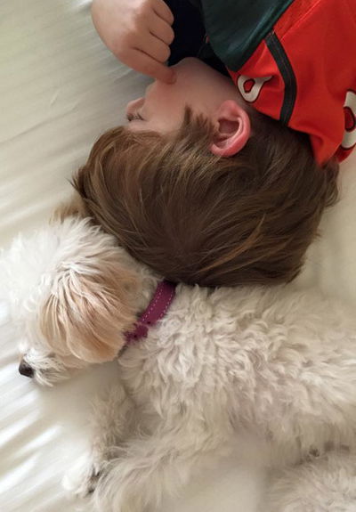 Cockapoo Photo Gallery - Florida Cockapoos