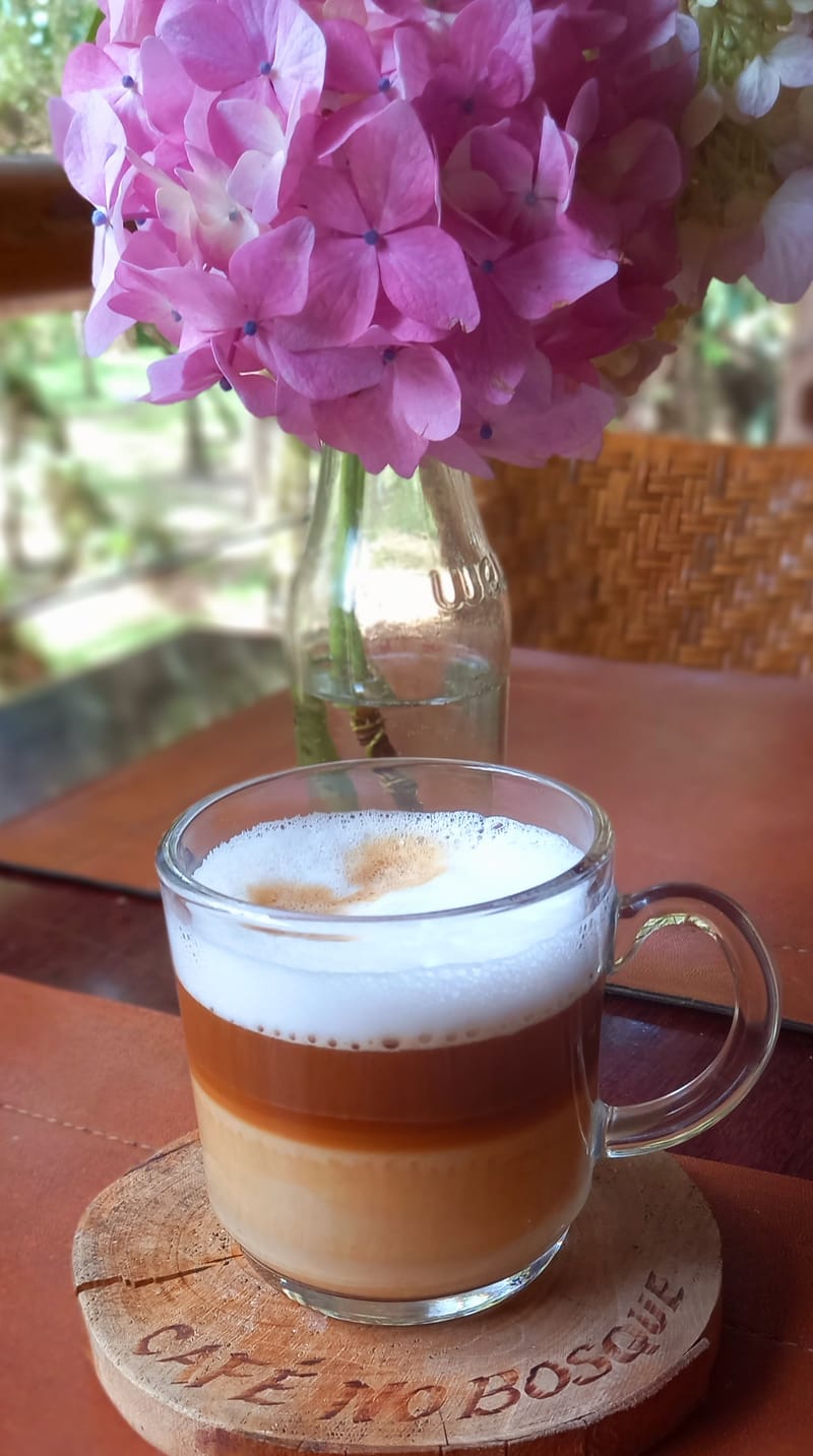 Bebidas Quentes - Cafe no Bosque