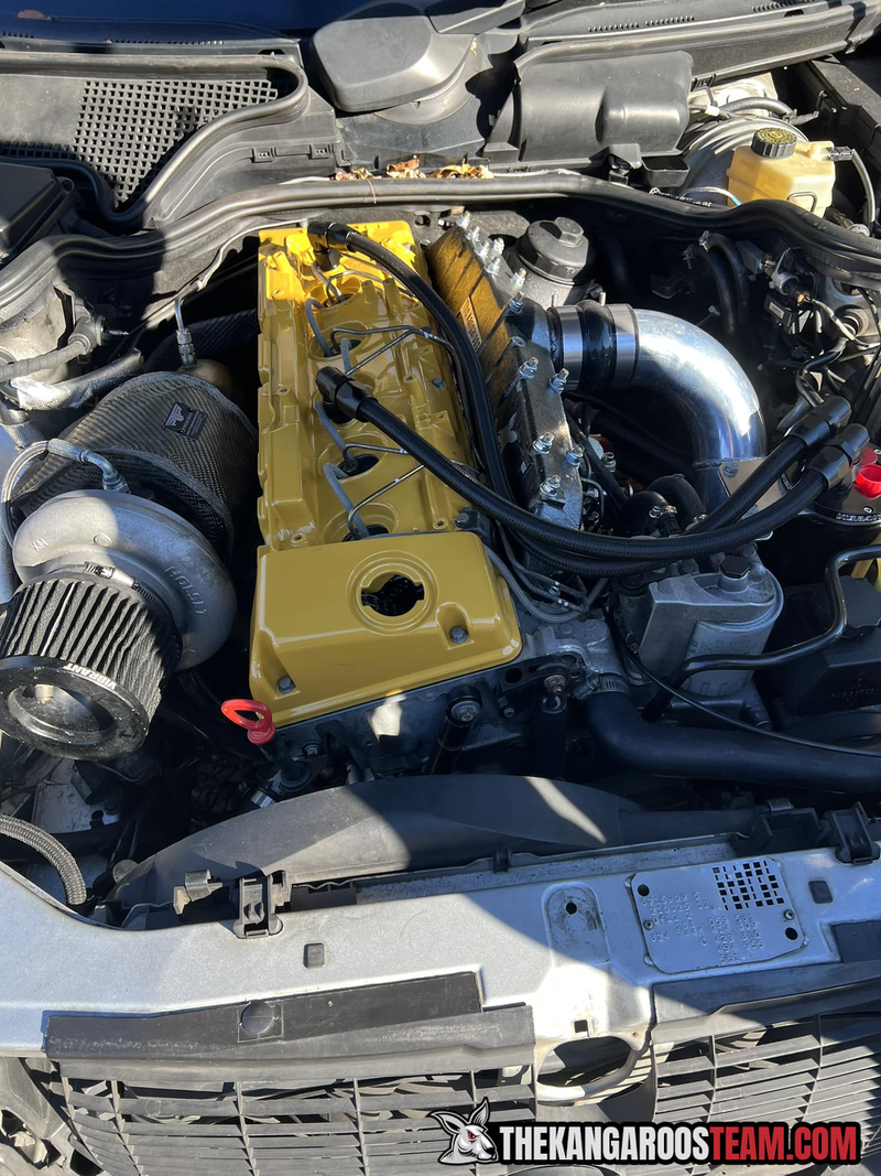 - The Kangaroos Team