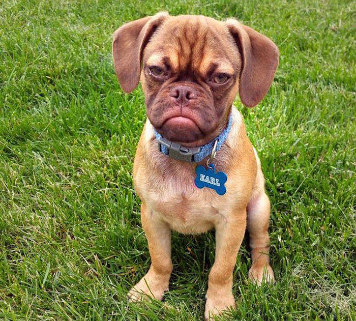 IL PERMALOSO: Chi è, perchè è così , cosa si nasconde dietro la ...