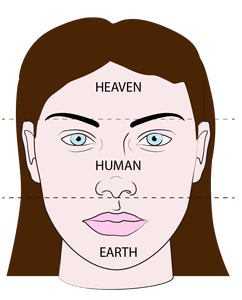 Face Reading - Biostar Technology International, LLC