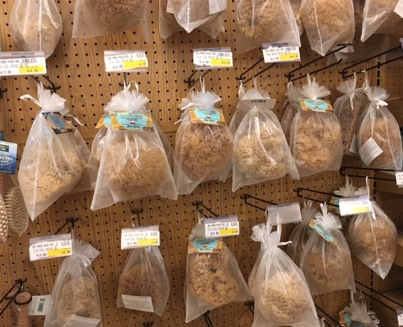 Envisioning the past, present and future of the sponge fishery of The ...