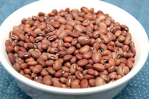 Karamani (Chowli) - Red- Cow Eye Bean - VEL VEL eFarms