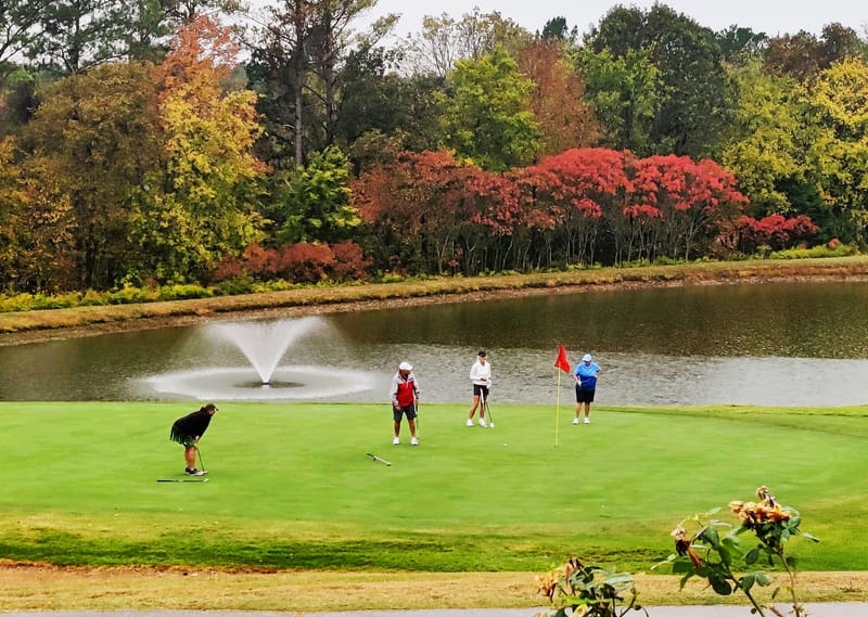 HSV WGA 18-HOLE GOLF LEAGUE - Welcome to HSV WGA 18-Hole League