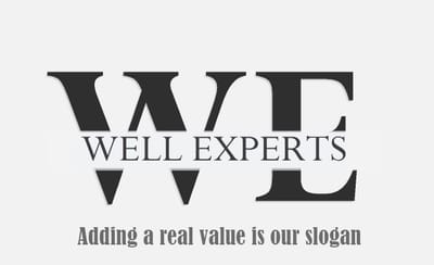 Well Experts - Website Under Maintenance