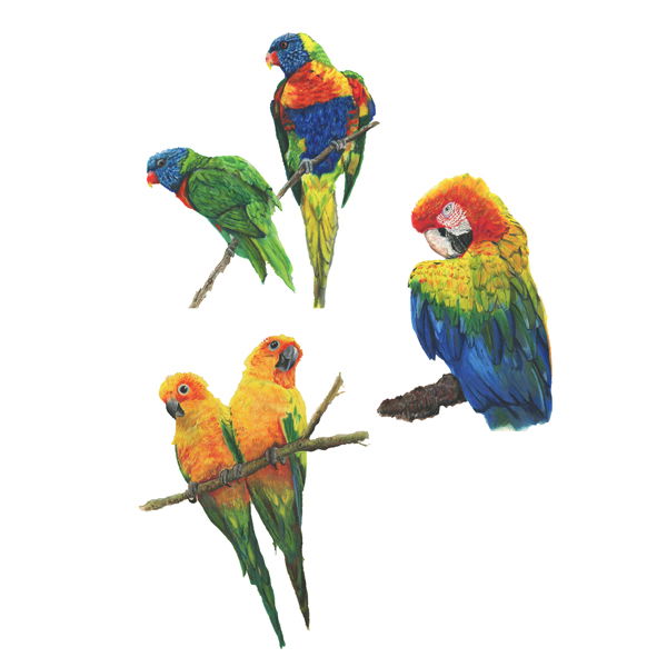 Colorful Birds (Crayons aren't just for kids!) - Michele Young Art