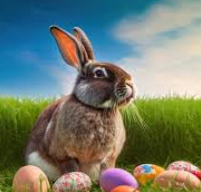 The For Paul Foundation