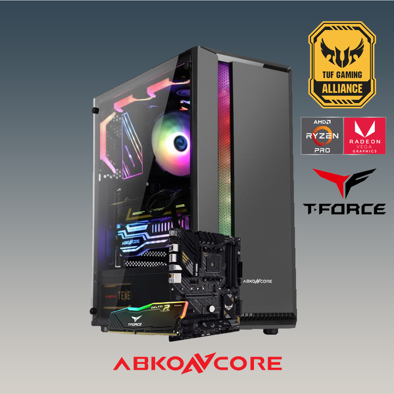 The Professional for Computer Systems