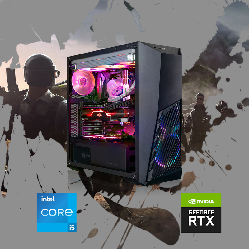 The Professional for Computer Systems