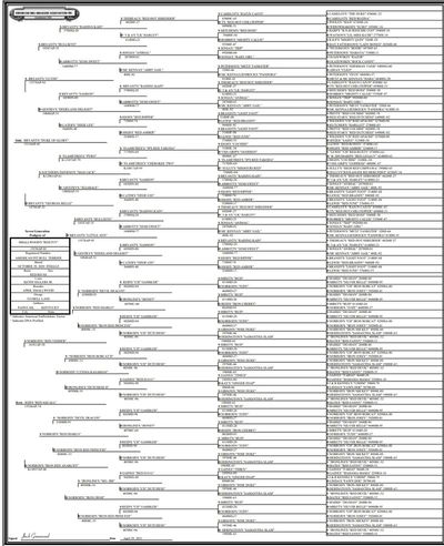oldfamilyirishrednose.com - OLD FAMILY IRISH RED NOSE