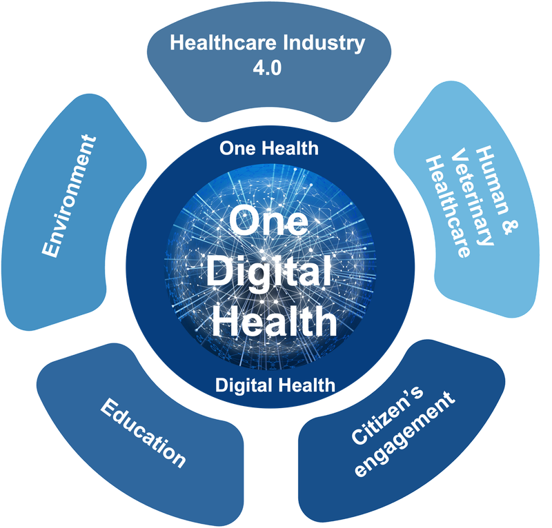 Cabinet de conseil en Transformation Numérique et Santé