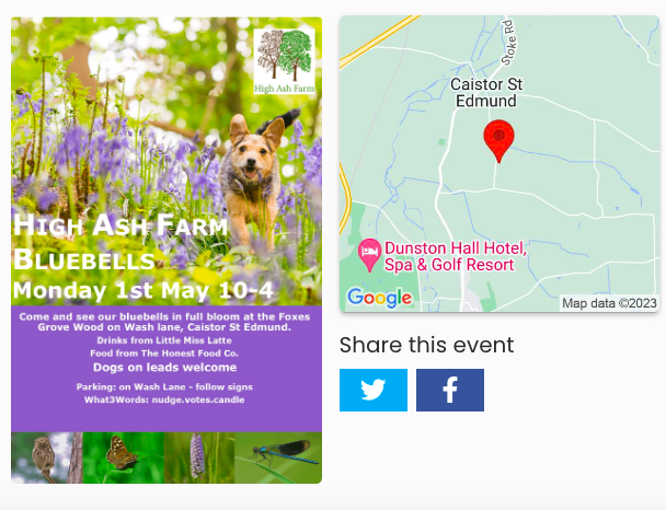 High Ash Farm Bluebells - Iceni Botanical Artists