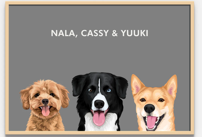 Lyto: Mit Speed zu coolen Bildern