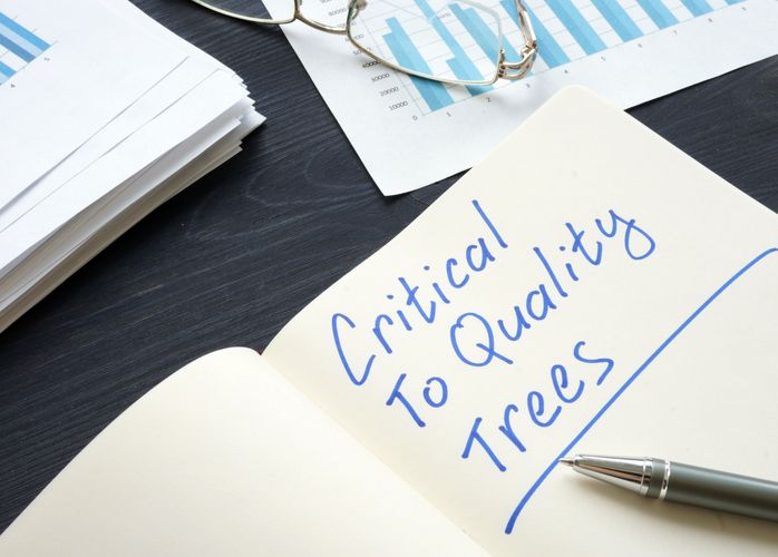 How to Implement Critical to Quality (CTQ) Tree