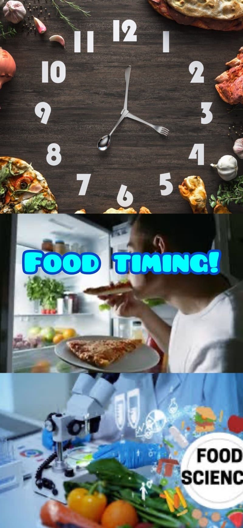 Food Timing - HOGAN HEALTH & FITNESS