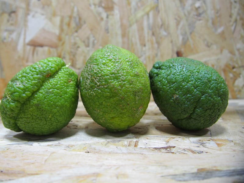 Lemon Local (500g) - Alphajiri Greengrocer