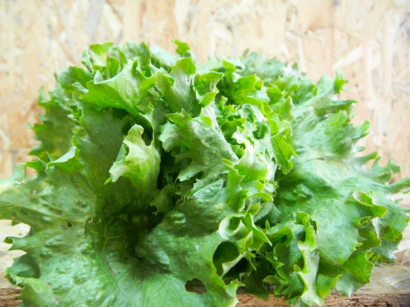 Soft Lettuce (punnet) - Alphajri Greengrocer