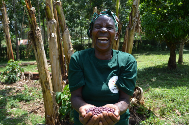 Njugu Karanga (Roasted Salted Peanut)(100g) - Alphajiri Greengrocer