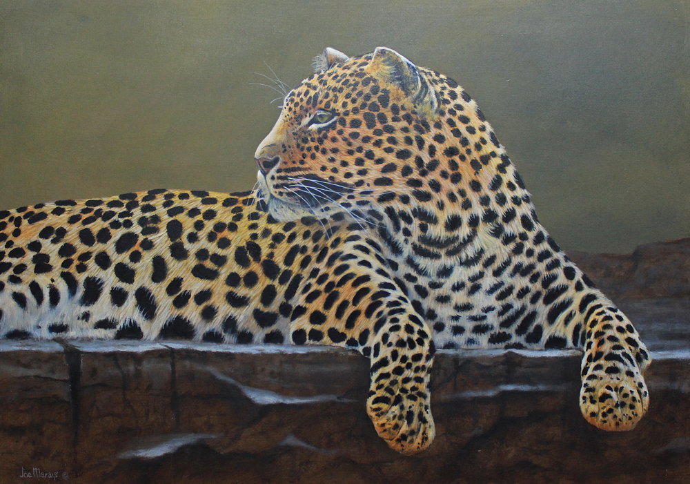 Joe Marais, Wildlife Artist from Zululand, South Africa.