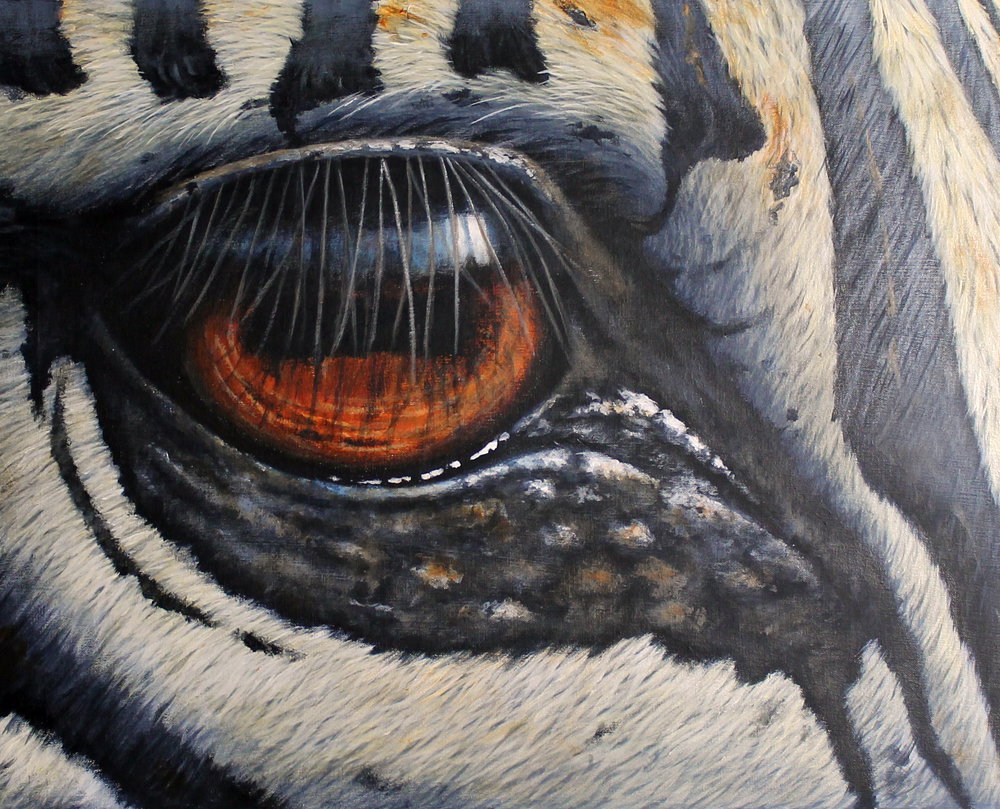 Joe Marais, Wildlife Artist from Zululand, South Africa.