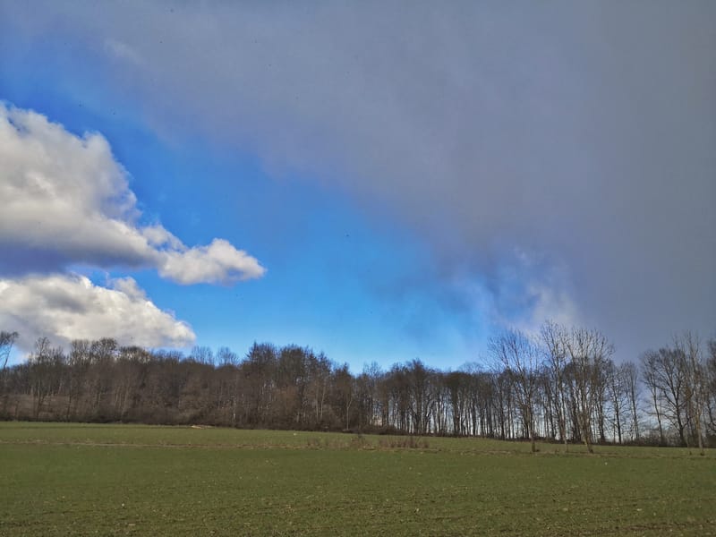 Wechselhaft? Launisch - Barfußläufer