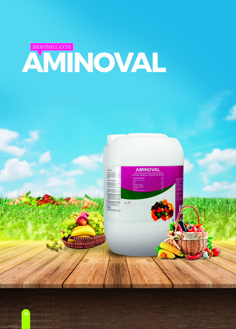 FERTILISANTS - FERTIVAL