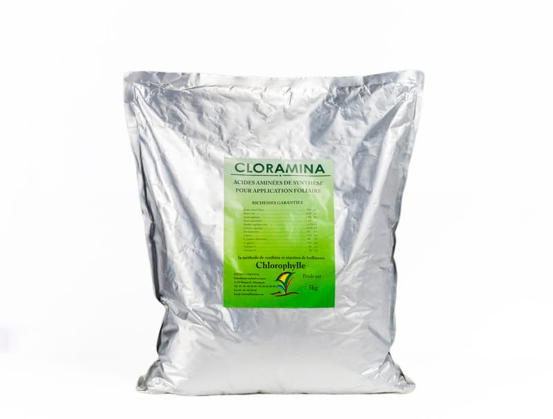 CLORAMINA : un biostimulant pour améliorer la croissance et les rendem