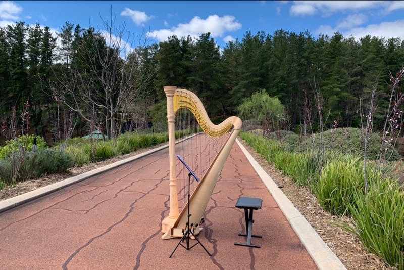 Harp & Piano Music - Renee Ng - Professional Perth Harpist & Pianist