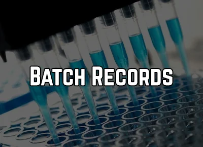 3-Hour Virtual Seminar On Batch Record Review And Product Release