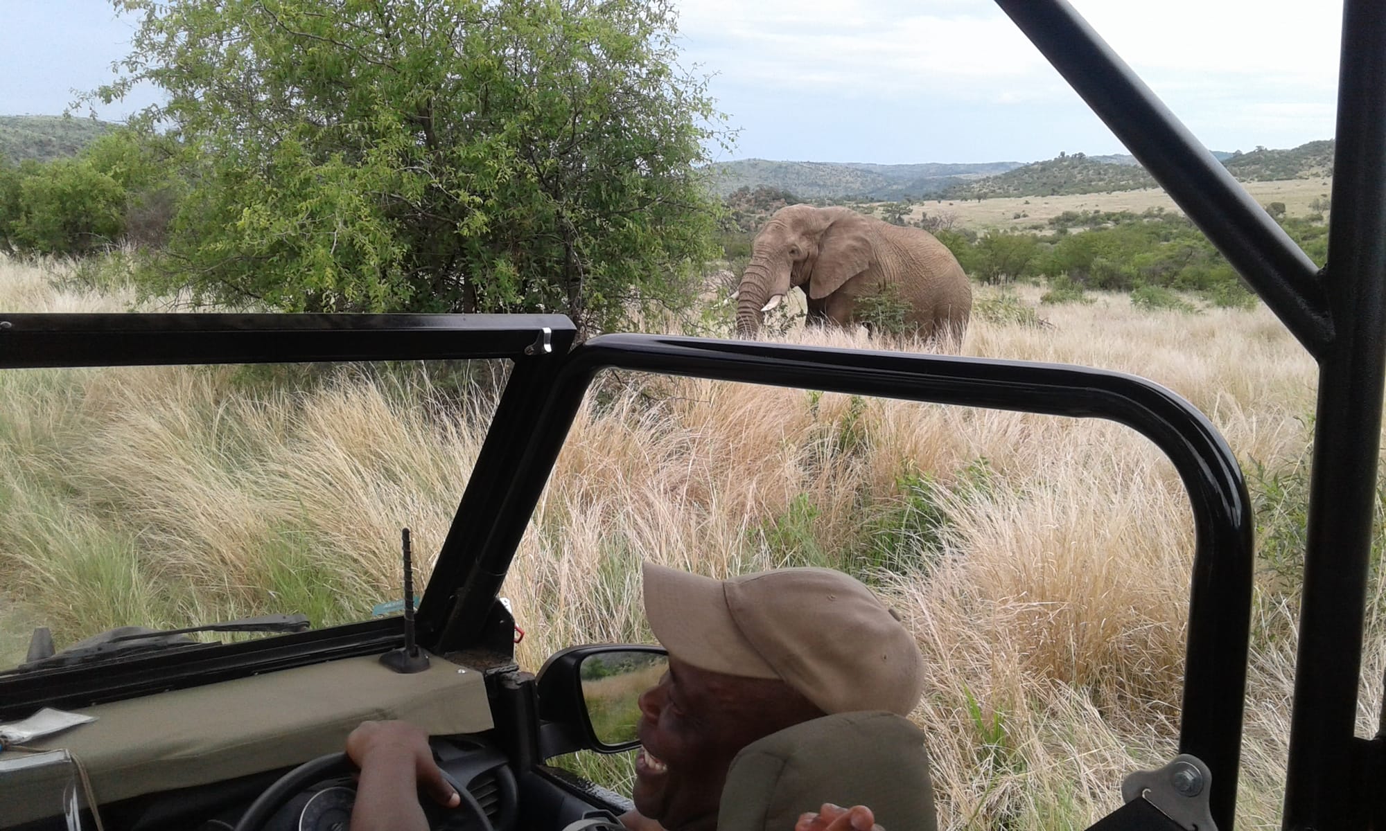 Pilanesberg daily safari - KGABO SAFARIS
