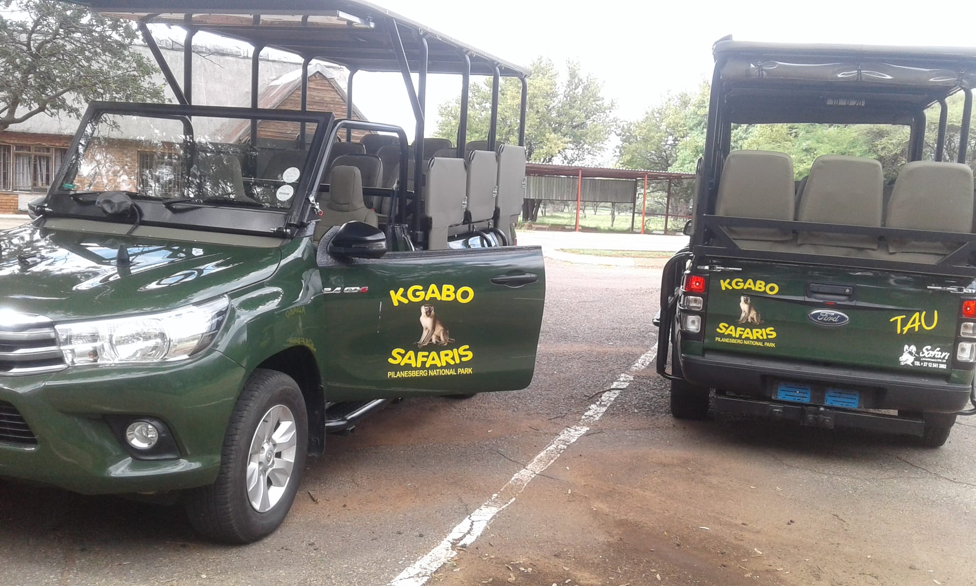 Pilanesberg daily safari - KGABO SAFARIS