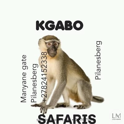 Pilanesberg daily safari - KGABO SAFARIS