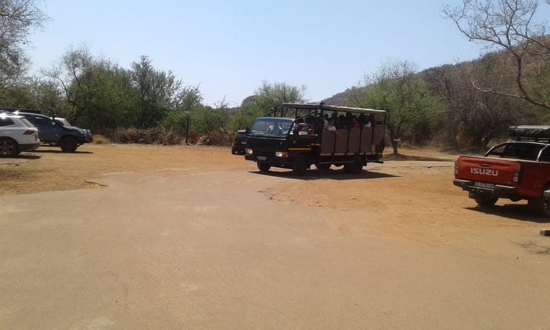 Pilanesberg daily safari - KGABO SAFARIS