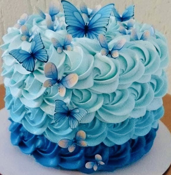 2 Layer Chocolate Butterfly Cake with Buttercream Frosting - Cabbit Cakes
