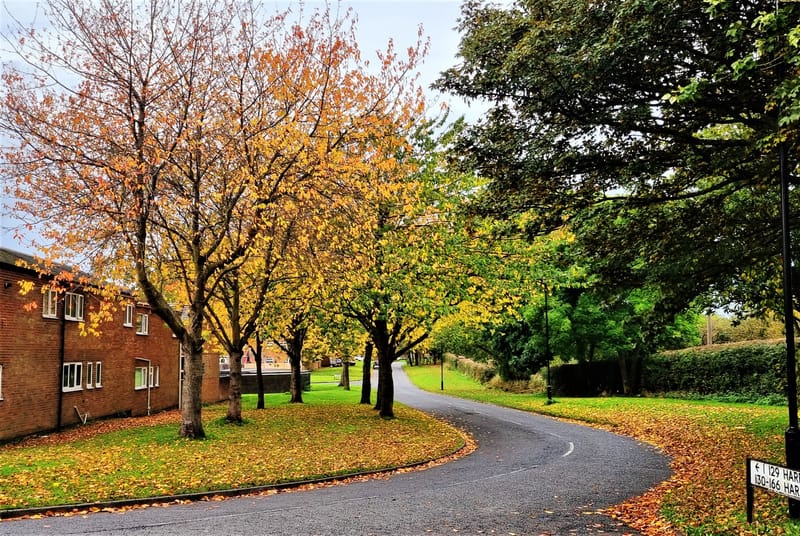 Woolsington Parish Council