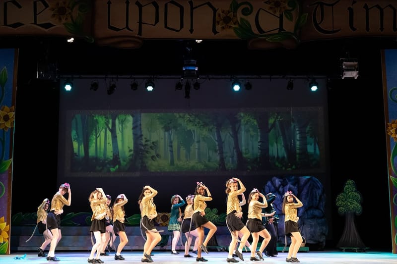 Metea Valley Theater - METEA VALLEY THEATER