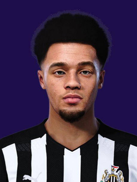 J. Lewis - alireza store