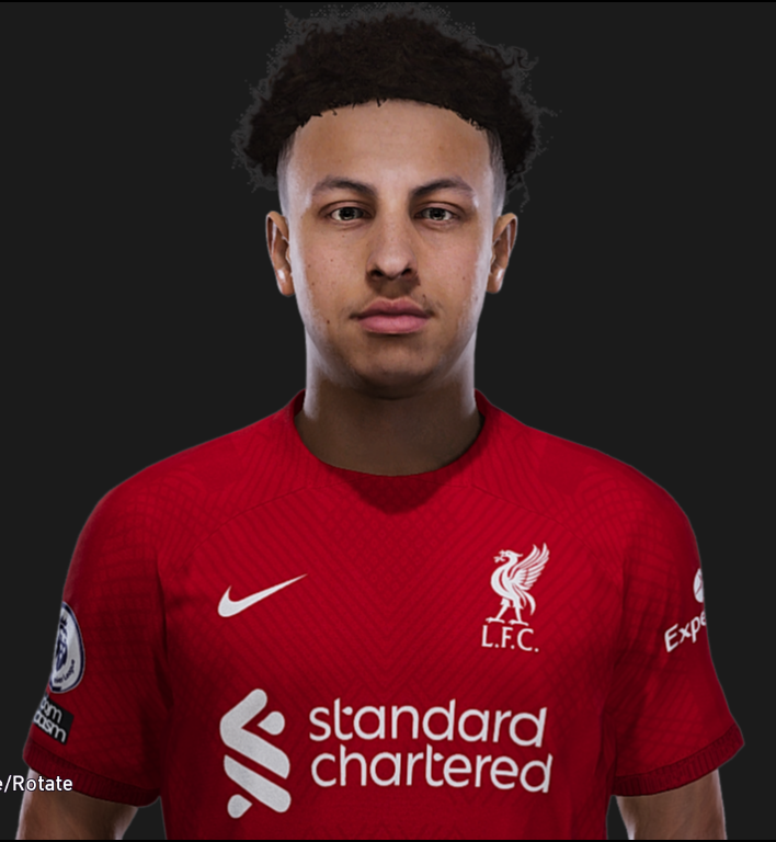 Kaide Gordon - alireza store