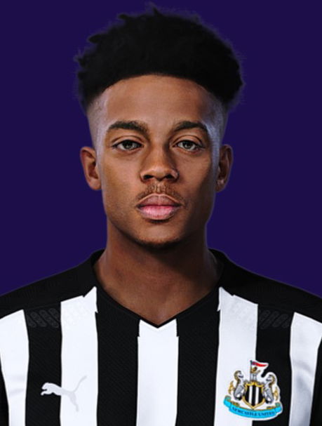 J. Willock - alireza store