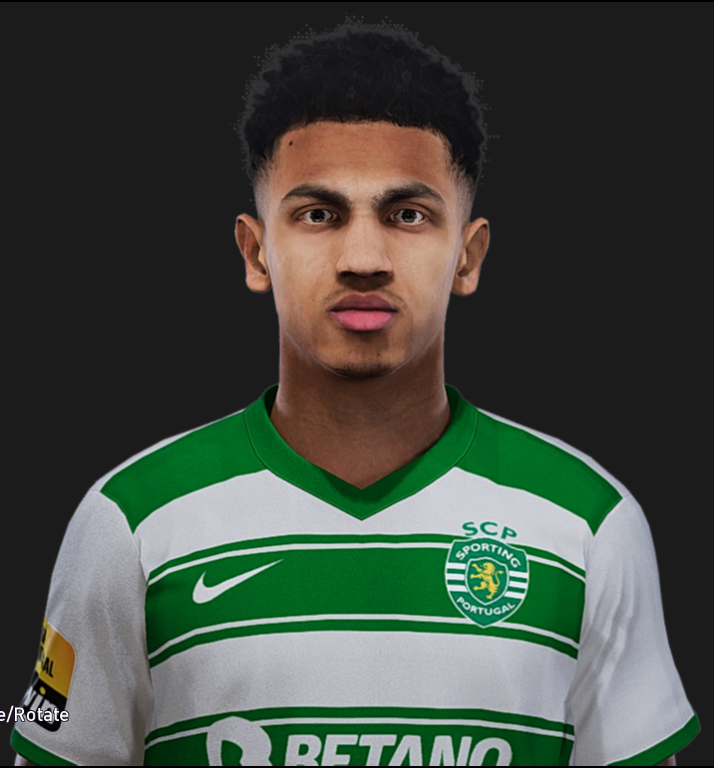 Marcus Edwards - alireza store