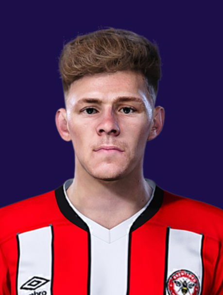 K. Lewis-Potter - alireza store