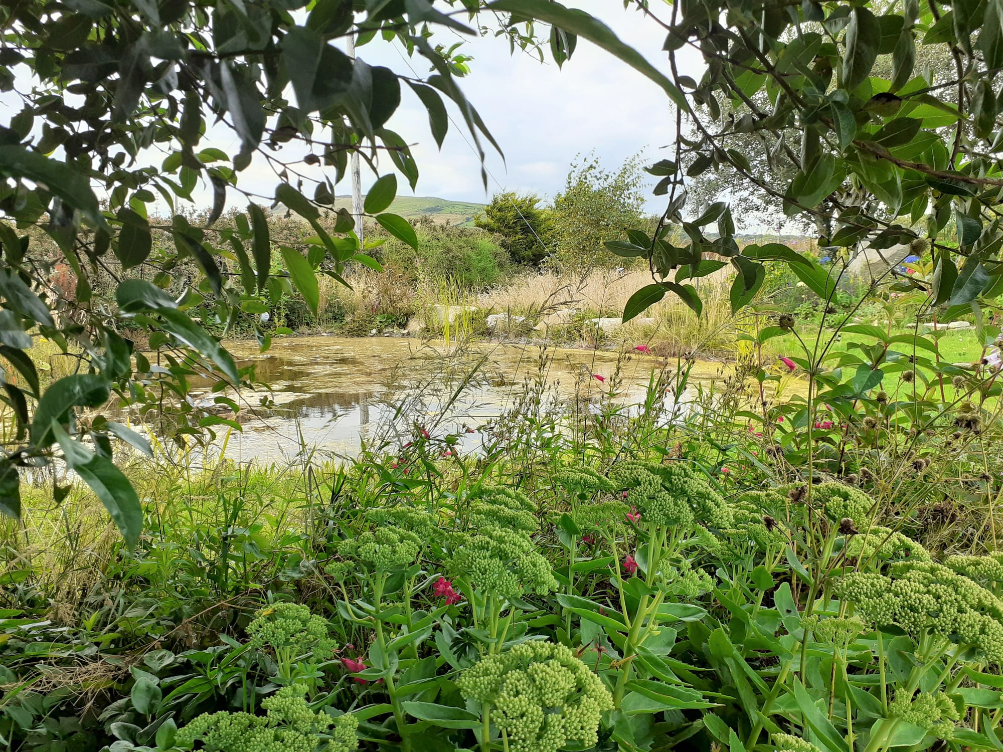 Mullagh Pond House on Wild Atlantic Way for rent