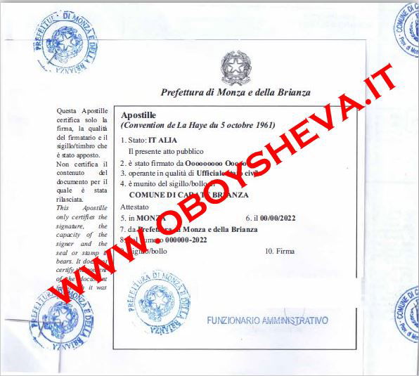 APOSTILLE - TRADUTTORE GIURATO OBOYSHEVA OLENA