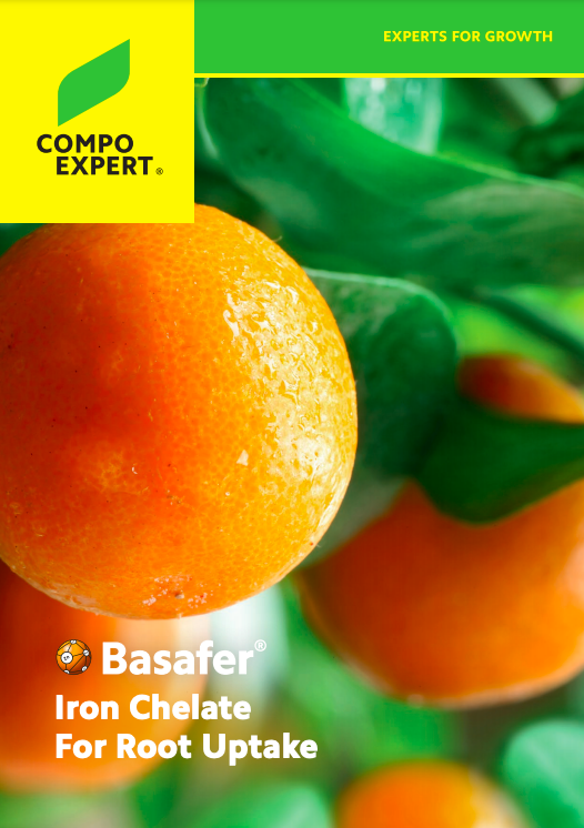 Compo Expert - Radicle Group