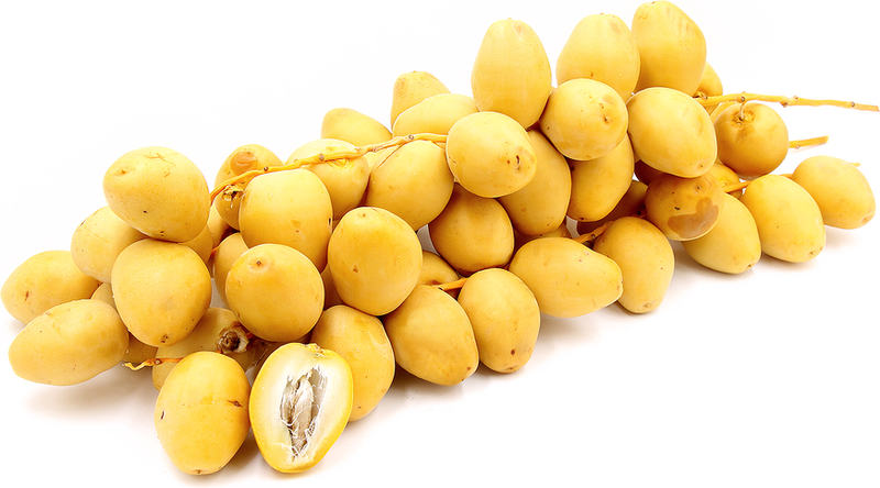 Australian Dates - Gokul Farm