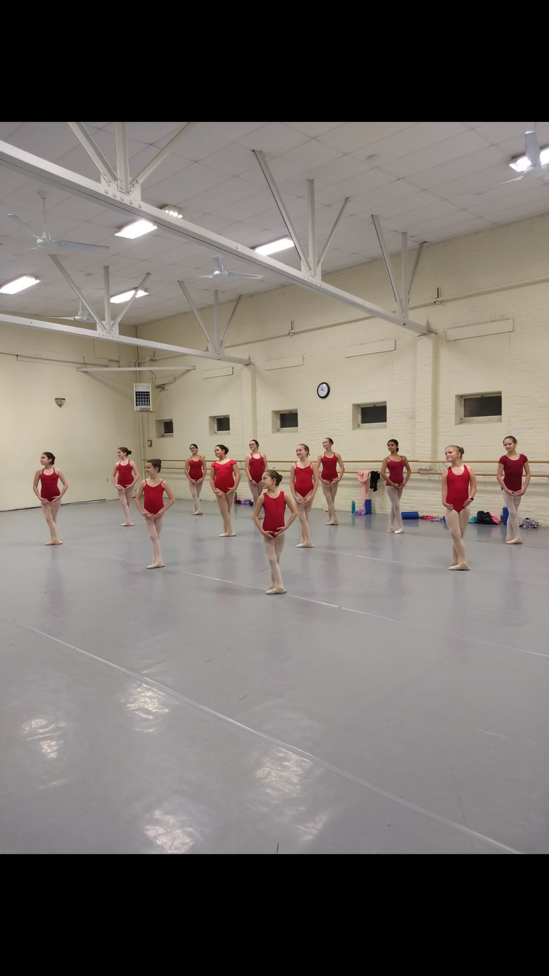 Pennsylvania Classical Ballet Academy - Passion, Courage, Strength