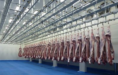 The Abattoirs - Nala Beef Abattoir and Meat Processing Plant