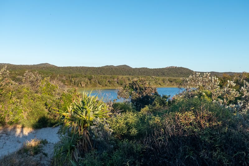 About us - Moreton Island Protection Committee
