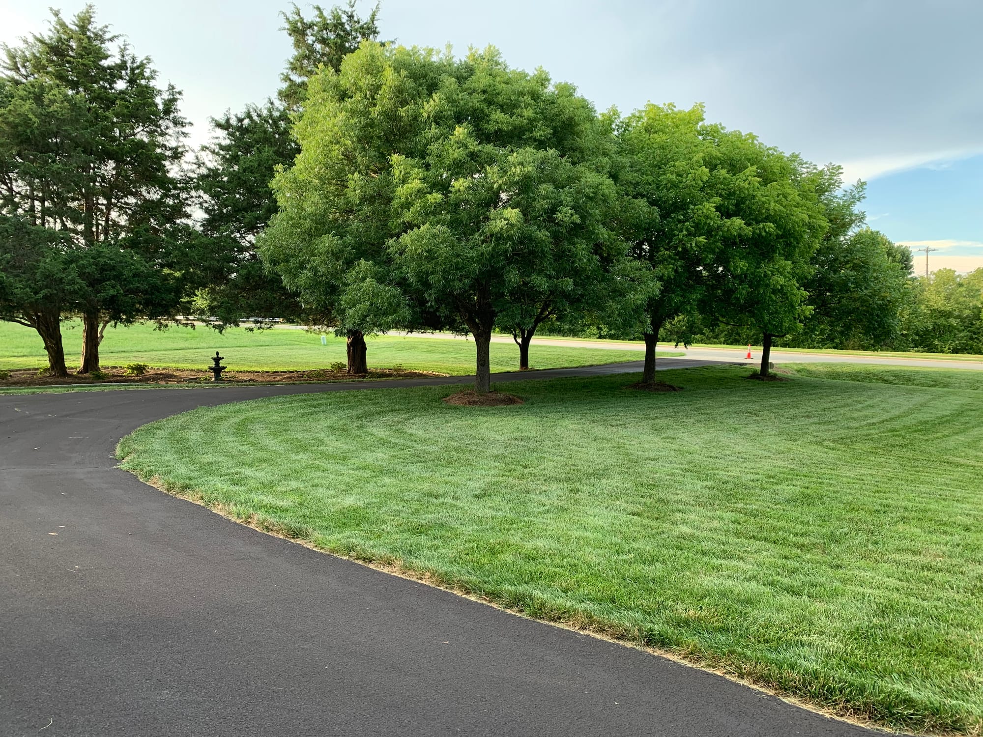 Friendly Pro Landscapes